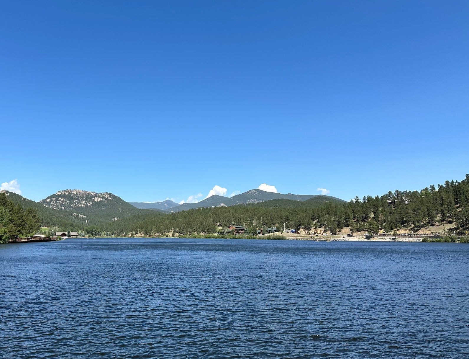 Move 37 – Bright Light Ventures