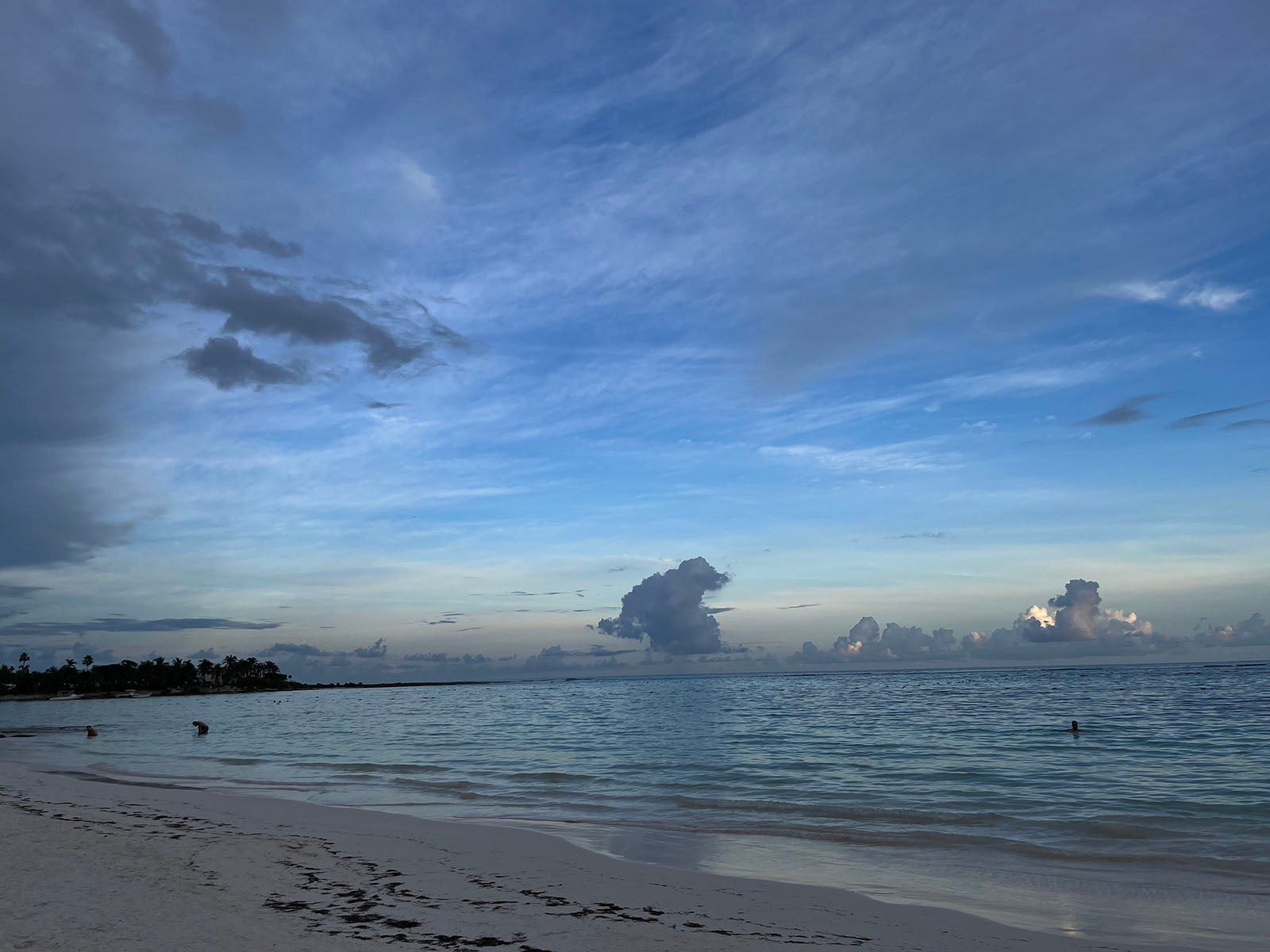 Put Critics in Their Place – Bright Light Ventures